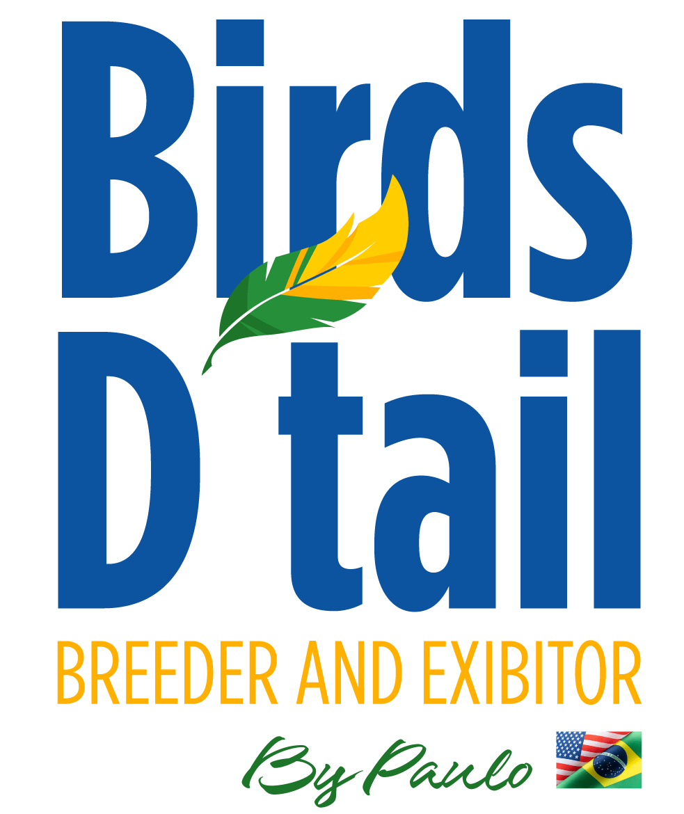 Bird Details By Paulo – Bird Breeder and Exhibitor